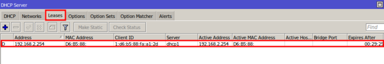 Servidor DHCP en Mikrotik: Paso a Paso Completo